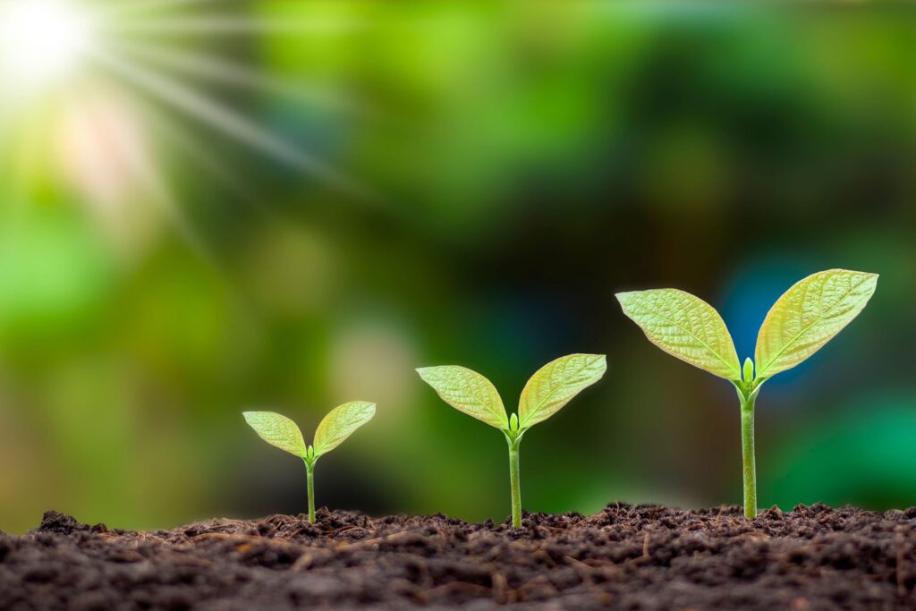 Gift aid - Urostomy Association